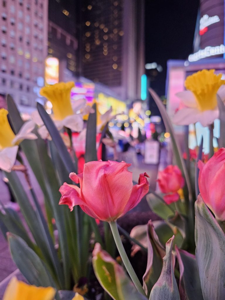 Samsung Galaxy S23 Ultra Review – Camera Samples – Portrait Mode Night ...