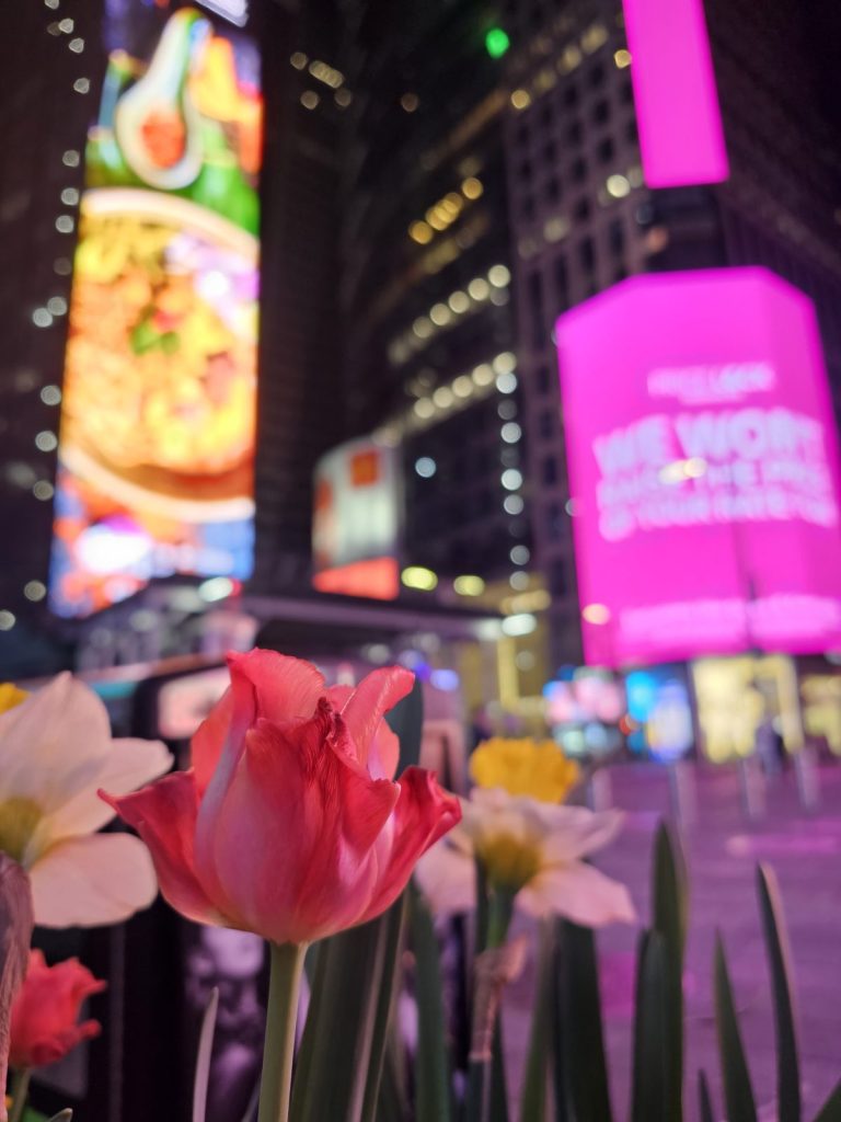 Samsung Galaxy S23 Ultra Review – Camera Samples – Portrait Mode Night ...